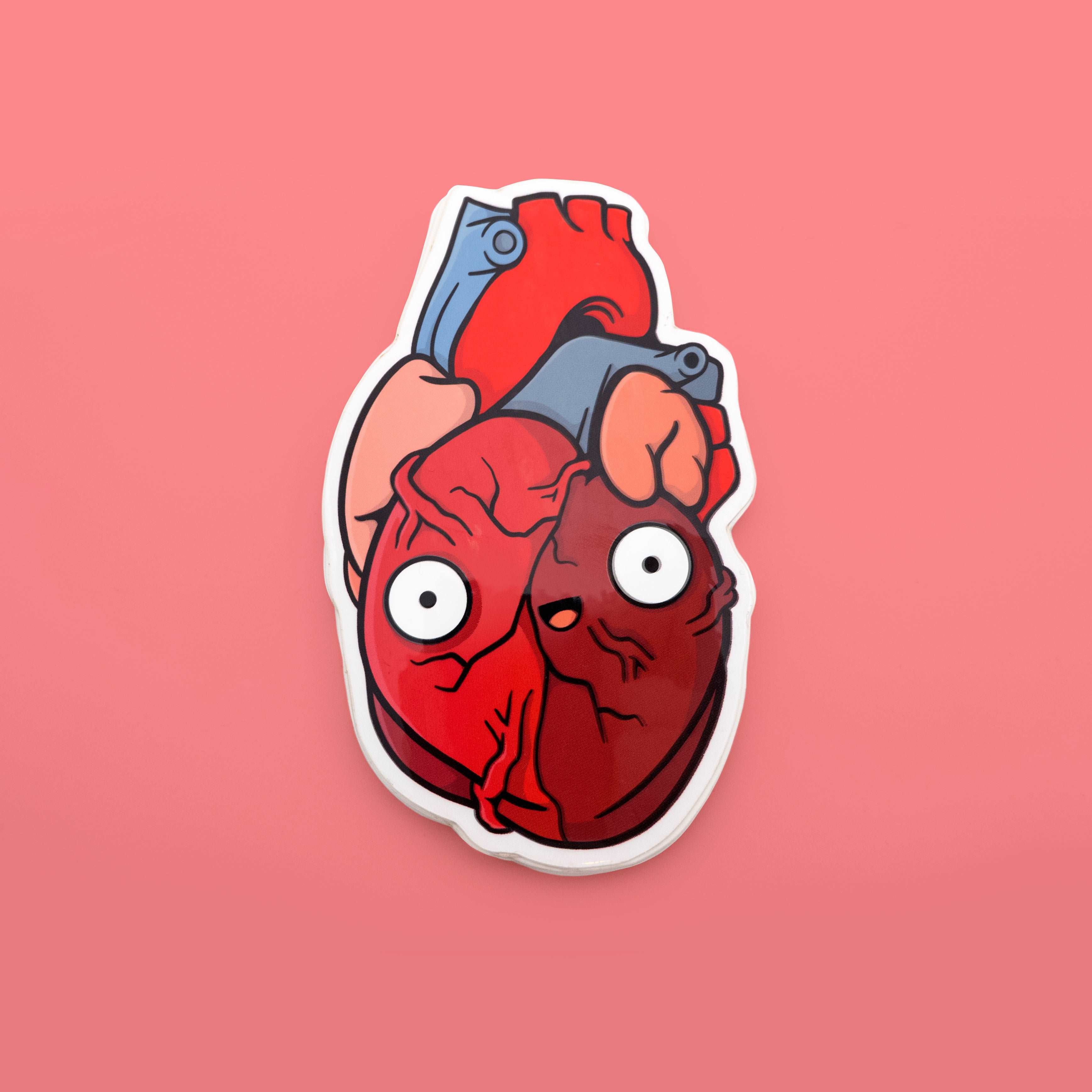 HEALTY HEART STICKER | Vinyl Die Cut human heart | organ sticker ...